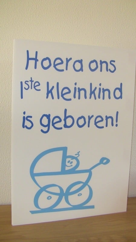 V-bord /raambord kleinkind - Babyvoordeelwinkel.nl